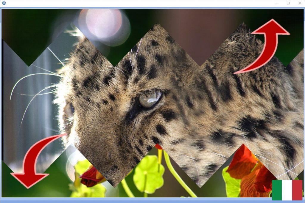 Programma per fare video con foto per PC